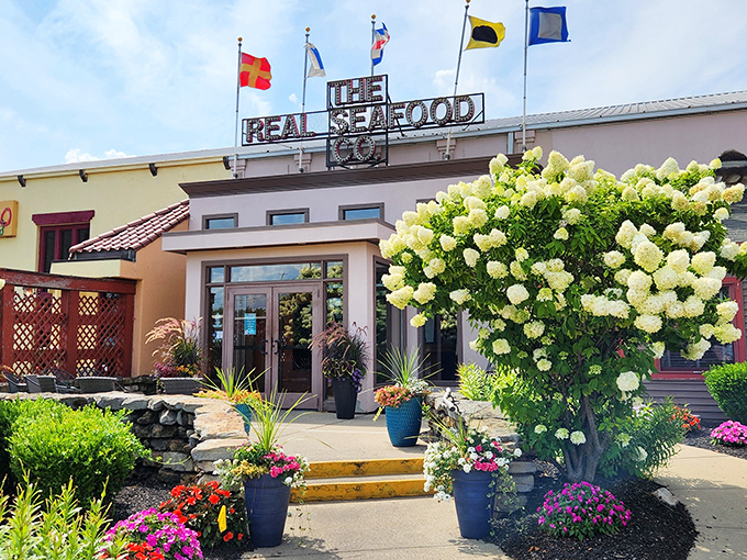 Hydrangeas in full bloom frame the entrance to seafood heaven. Mother Nature herself seems to be giving this place her flowery seal of approval.