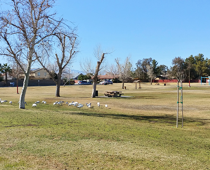 Small-town main street charm thrives in this Mojave Desert community with surprising character.