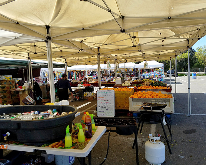 Citrus mountains rise like orange pyramids at Stockton's produce paradise, where the cooler of icy drinks promises refreshment after hot bargain hunting.