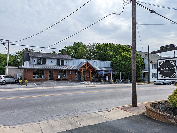 Farmland stretches like a green quilt, stitched together by roads that lead to simpler times.