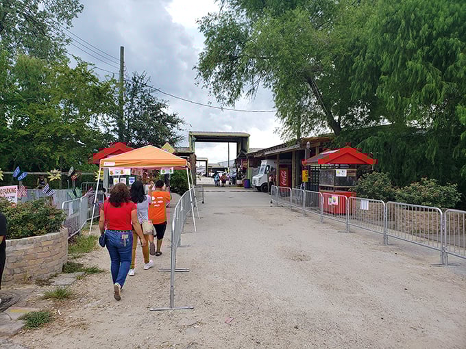 Those excited treasure hunters walking inside the entrance of this rare treasure paradise.