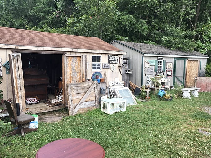 Those weathered sheds might not look like much, but they're like time capsules with price tags. The best treasures often hide in plain sight.