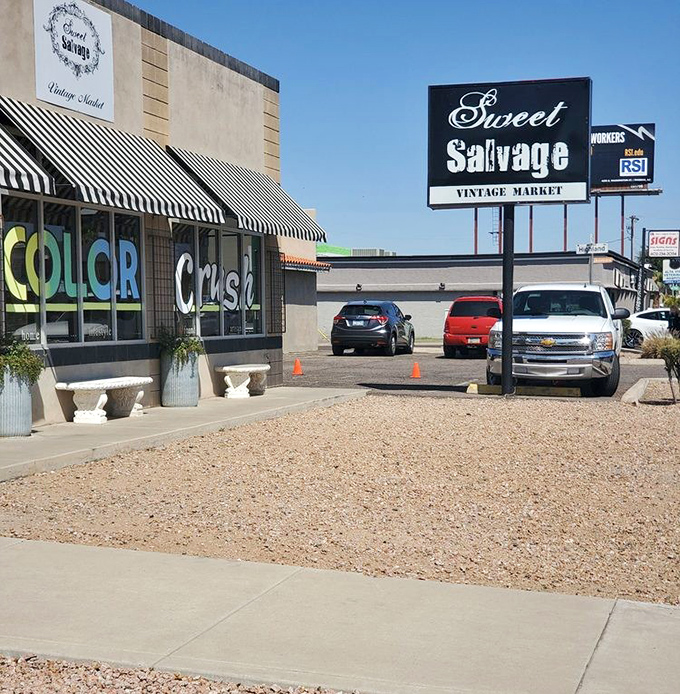 Those black and white stripes aren't just stylish - they're a beacon for anyone seeking beautifully restored vintage finds.