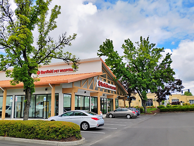Tanasbourne's modern outdoor spaces invite shoppers to relax between bargain hunts with cozy seating and greenery.