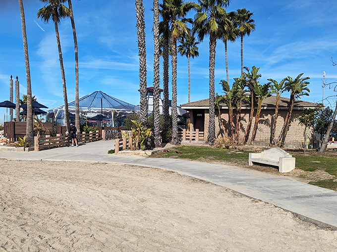 Sandy toes welcome at this neighborhood gem where breakfast dreams come true daily.