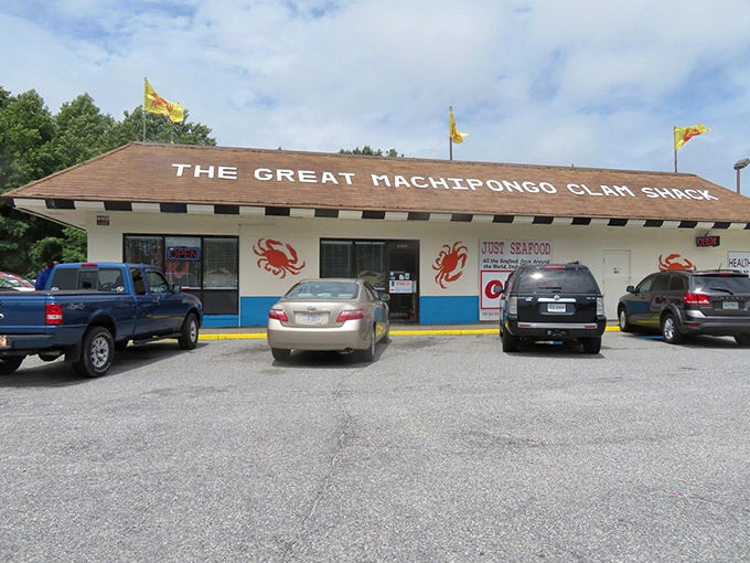 Those painted crabs on the wall aren't just decoration&mdash;they're a promise of Eastern Shore seafood magic happening inside this humble building.