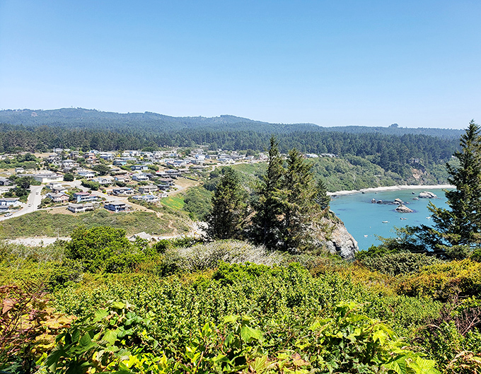 When redwoods meet the ocean, you know you've found something truly magical and rare.