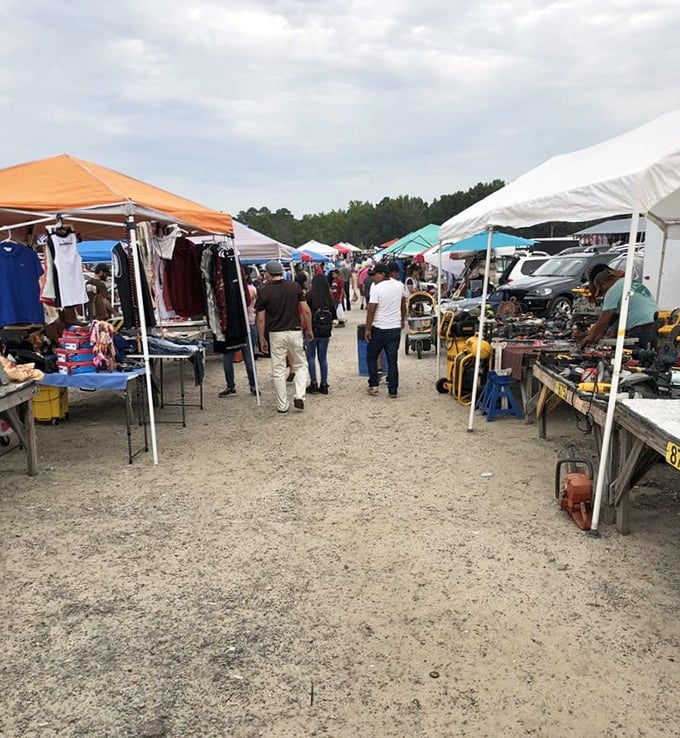 The organized layout makes browsing easy, with wide aisles showcasing everything from electronics to vintage clothing finds.