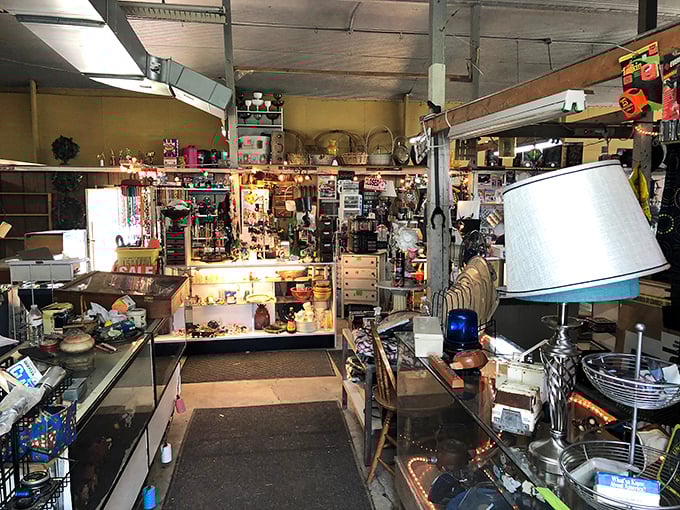 The organized chaos of outdoor displays promises the kind of discoveries that make flea market hearts sing.