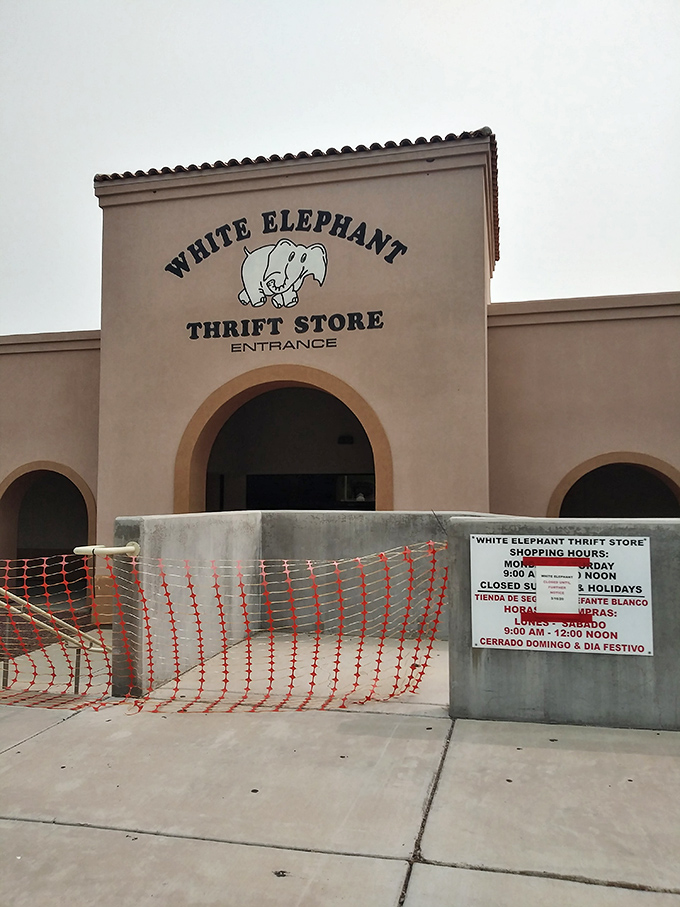 Behind that charming elephant logo lies a wonderland of secondhand treasures waiting to be discovered.