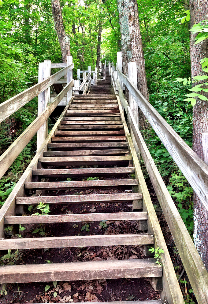 These wooden stairs aren't just a workout&mdash;they're a time machine. Each step takes you deeper into Illinois' surprisingly rugged landscape.
