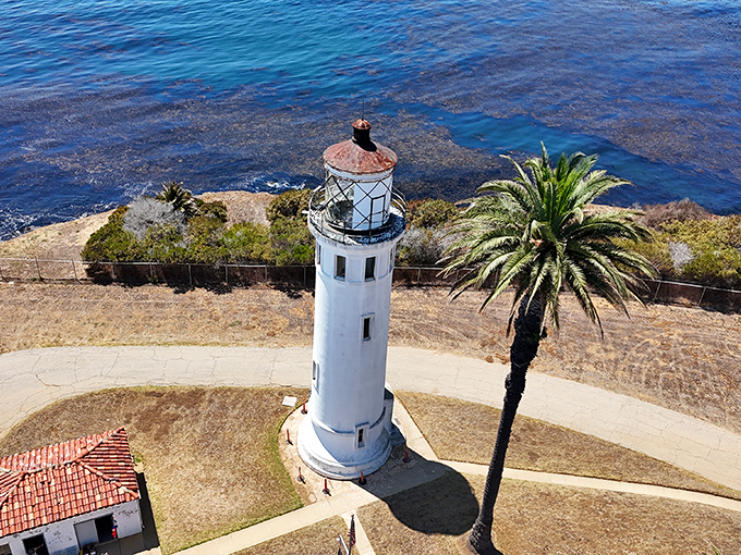 Bird's eye perfection: where terra firma meets the endless blue, with our white-towered friend standing guard over it all.