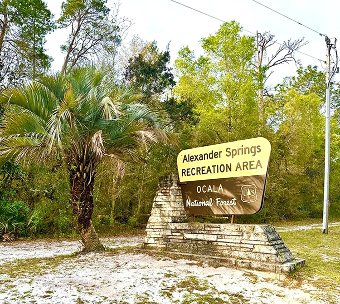 Alexander Springs Recreation Area&mdash;where the Ocala National Forest welcomes visitors with a classic Florida roadside sign and swaying palms.