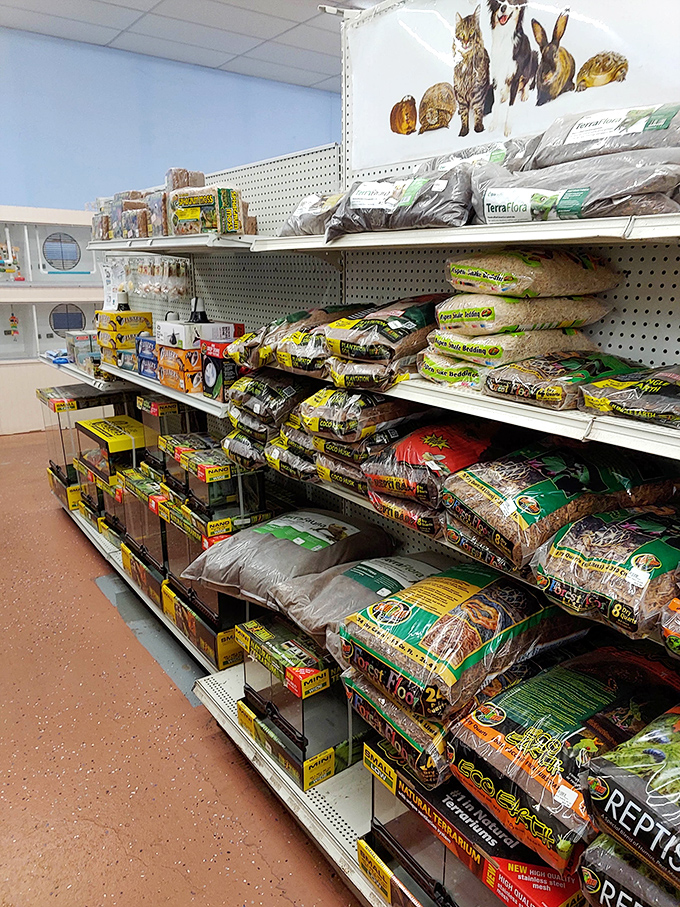 Pet parents, rejoice! From premium kibble to specialty supplies, this aisle ensures your furry family members aren't forgotten during your market adventure.