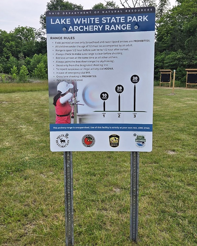 Where Robin Hood wannabes discover that hitting the target is harder than Hollywood makes it look.