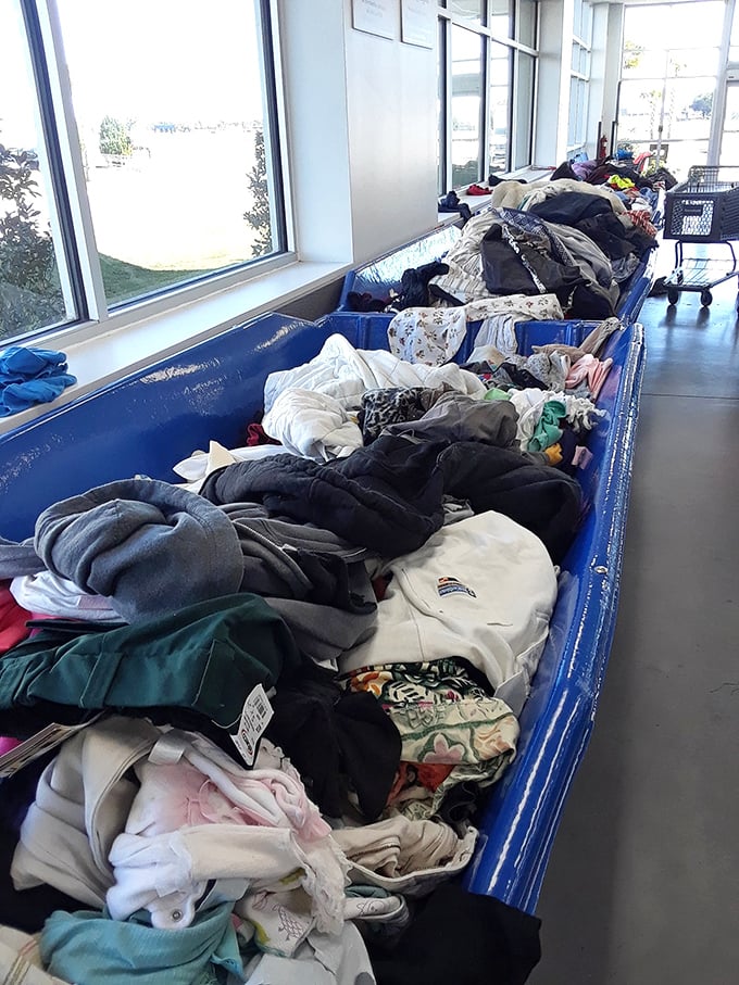 Designer blazers hide among everyday basics, waiting for eagle-eyed shoppers to discover them.