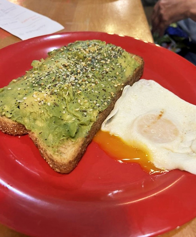 Avocado toast with an egg on the side&mdash;the breakfast that launched a thousand mortgage jokes and zero regrets.