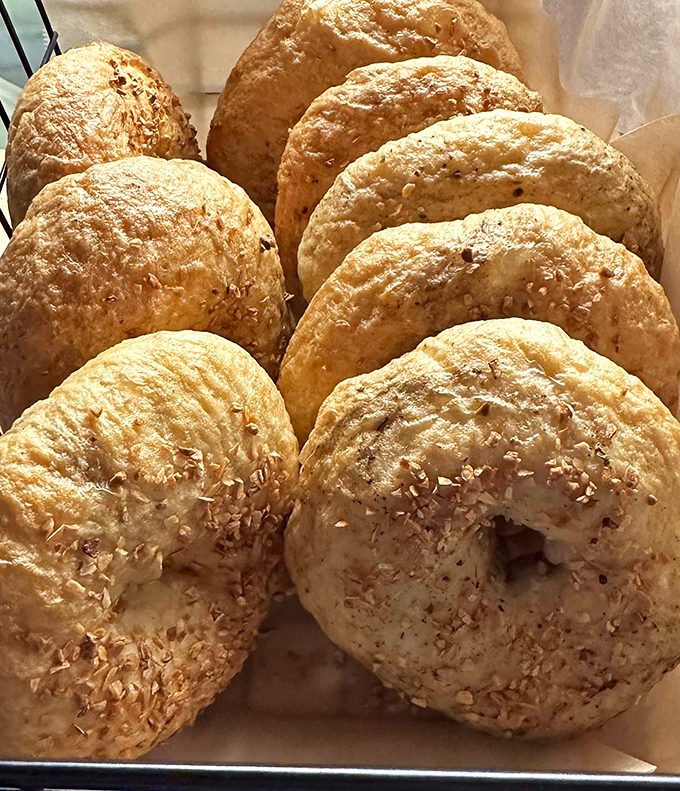 Bagels so perfectly golden and chewy they'd make a New Yorker pause mid-complaint. That's saying something.