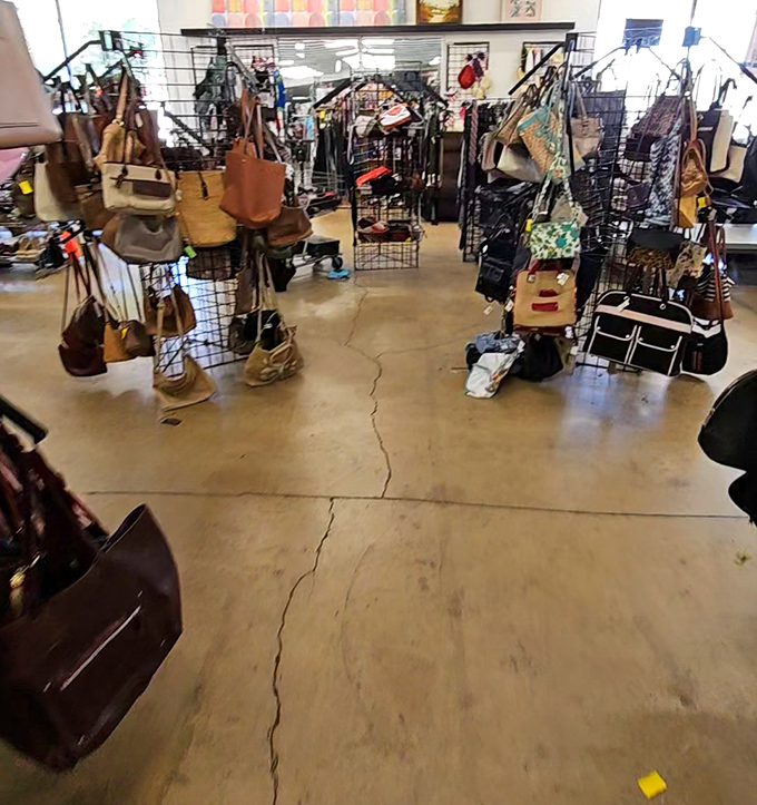 Handbags hanging like fashion fruit ripe for picking, each one holding stories of previous adventures.