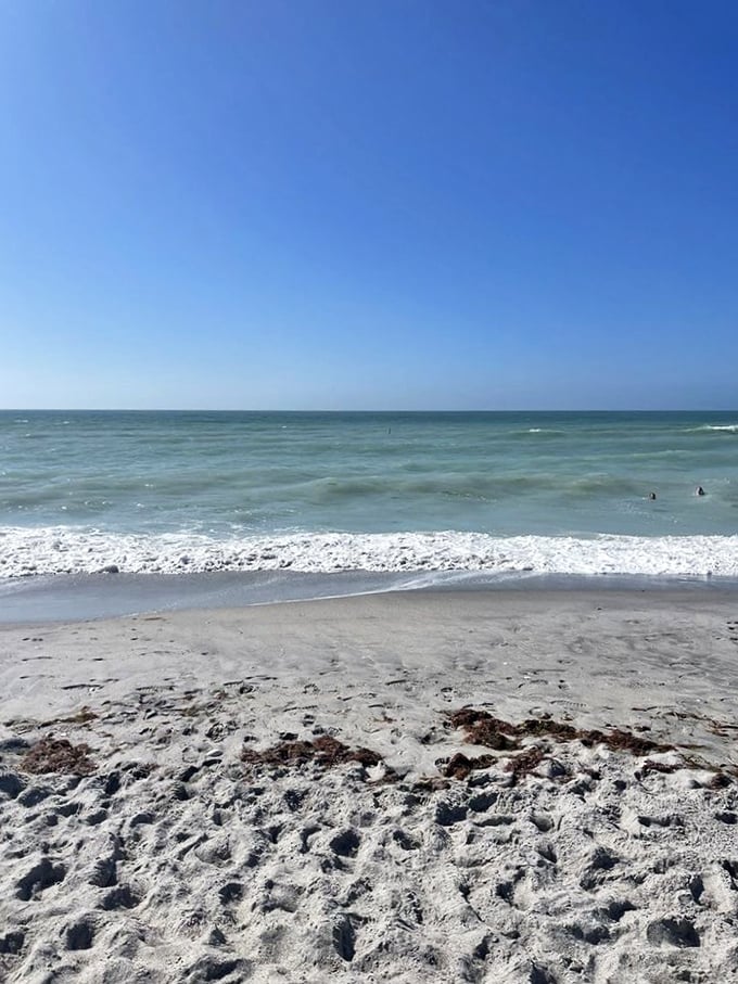 That perfect Gulf green that makes you understand why pirates got so obsessed with emeralds.