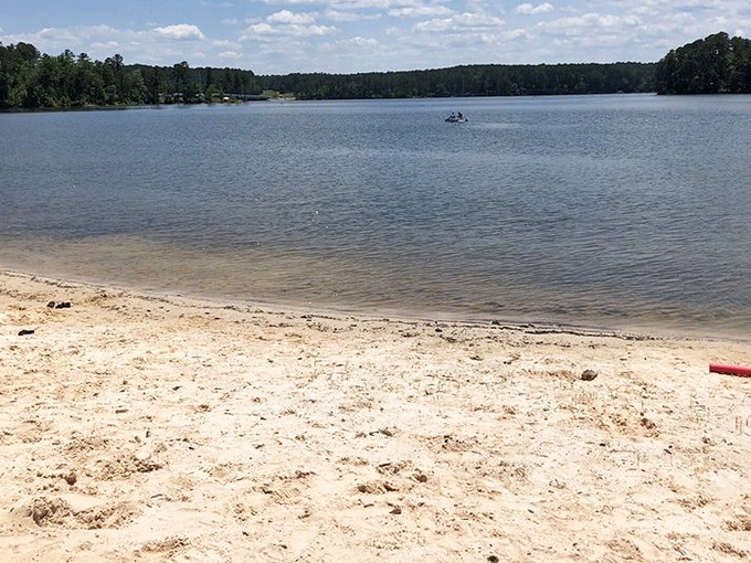 This sandy shoreline proves that South Carolina's best beaches aren't always where the postcards say they should be.