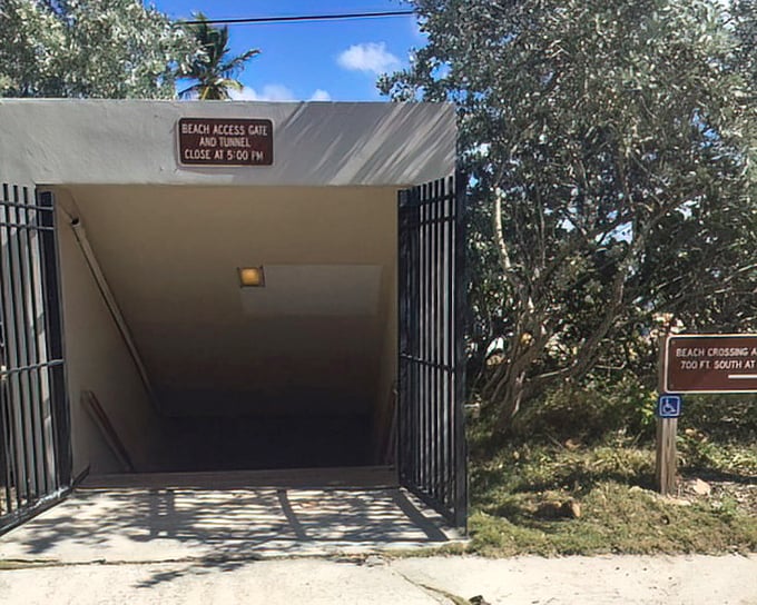 The secret passage: This unassuming tunnel is Fort Lauderdale's version of Platform 9&frac34;, magically transporting you from forest to beach in thirty steps.