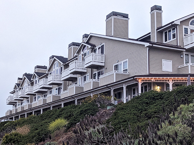 Maritime meditation: Pillar Point Harbor's perfect symmetry of boats and reflections creates a moment of zen that no meditation app could ever replicate.