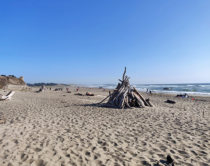 Driftwood sculptures rise from the sand like nature's own modern art installation.