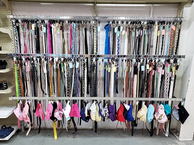 Belt heaven or accessory nirvana? Either way, this organized chaos of waist-cinchers would make any fashionista weak at the knees.