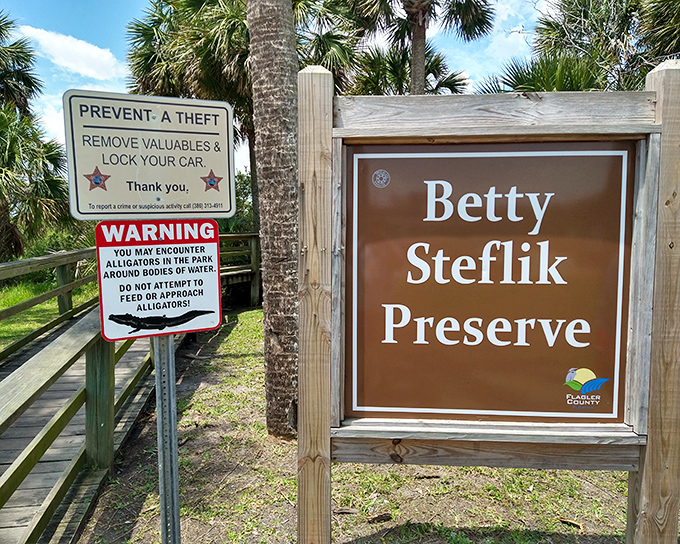 Betty Steflik Preserve's boardwalks wind through coastal habitats where alligators remind you this is still wild Florida.