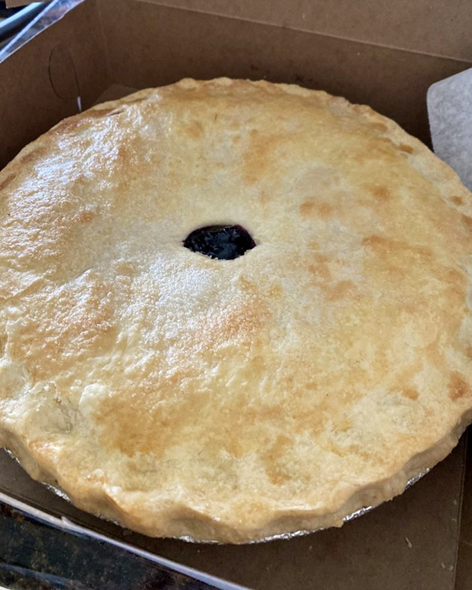 This golden-crusted pie with its telltale vent hole whispers sweet promises of fruit filling that grandmothers everywhere would approve of.