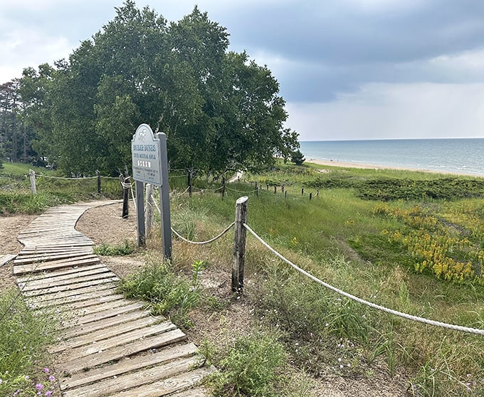 A wooden boardwalk invites visitors to the beach, where Lake Michigan's vastness meets Wisconsin's welcoming shore. Nature's red carpet treatment.