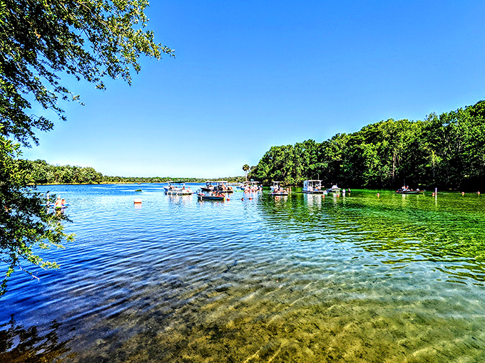 Boats gather where the spring run meets open water, like a floating neighborhood block party. Florida's version of a social club.