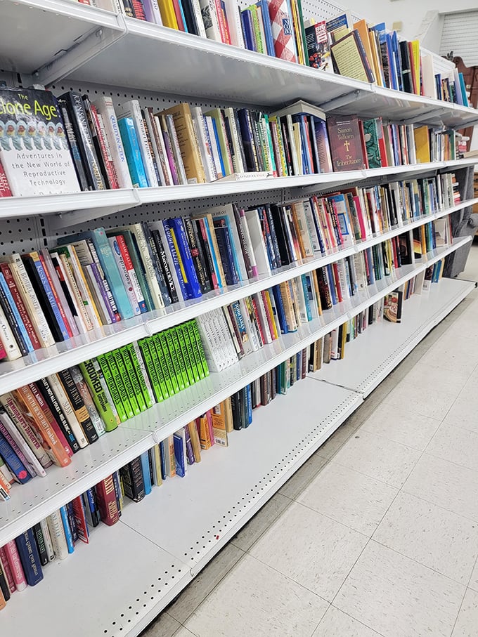 Literary treasures stacked spine to spine. From forgotten bestsellers to timeless classics, bibliophiles can rebuild their libraries without remortgaging.