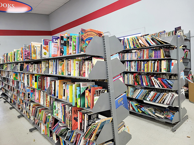 The book section: where forgotten bestsellers and quirky titles await their second chance at literary stardom. Bibliophiles, prepare to lose track of time.