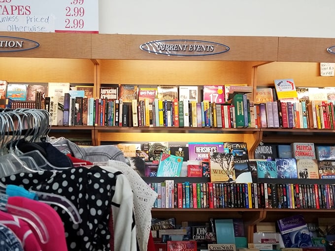 The book section &ndash; where literary treasures hide between dog-eared paperbacks. Bibliophiles know this feeling: the hunt is half the pleasure.