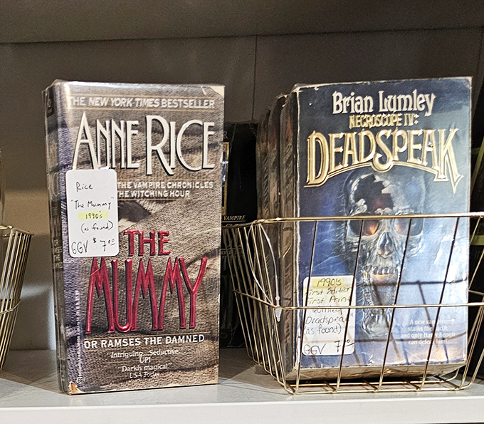 Anne Rice and Brian Lumley paperbacks lurk in wire baskets—because even secondhand shopping needs a touch of the supernatural.