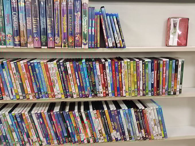 A library of cinematic adventures awaits. Who needs streaming services when you can build your own DVD collection for pocket change?