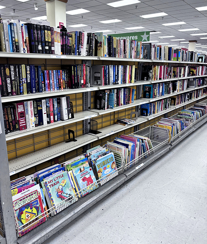 Literary gold mines on every shelf. From bestsellers to forgotten classics, bibliophiles can rebuild their libraries without breaking the bank.