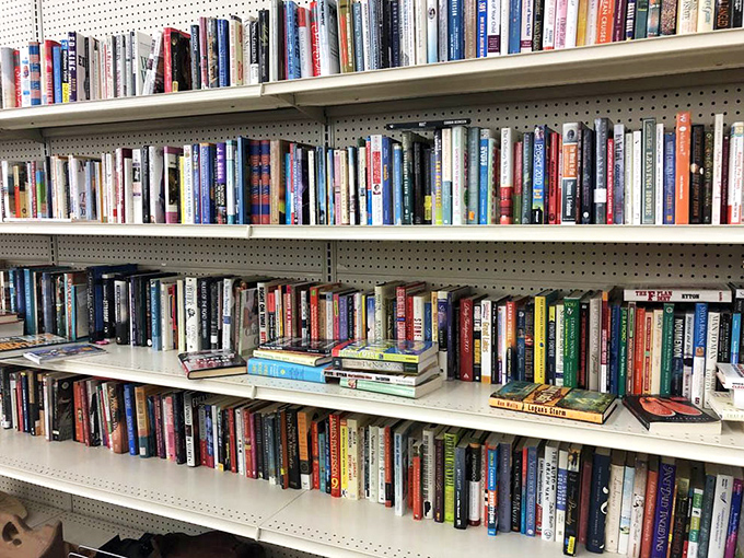 Literary treasures stacked like a physical Wikipedia. Decades of bestsellers and forgotten gems waiting for their next reader.