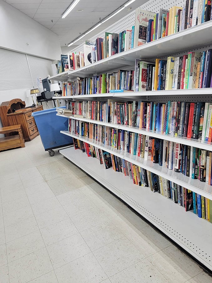 Every spine tells a story, and these shelves hold enough tales to last several lifetimes. 