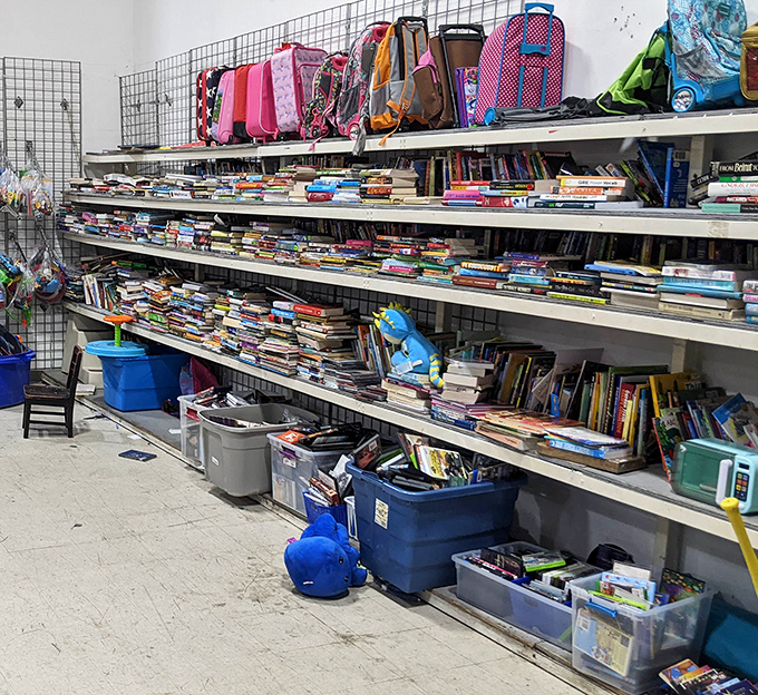 Bibliophiles beware: the book section is a time vortex. Those blue bins hold literary treasures waiting to be discovered by patient hunters. 