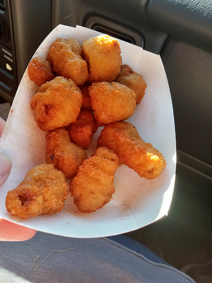 Golden-brown breaded mushrooms that crunch like your childhood dreams. These little flavor bombs make vegetables feel like an indulgence rather than a obligation.