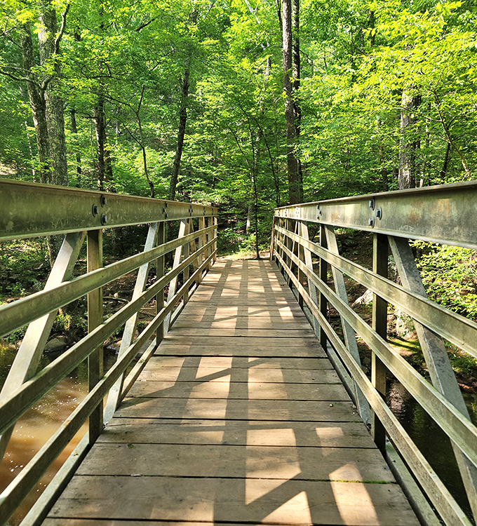 This bridge doesn't just connect two points &ndash; it invites you into a green cathedral where the sermon is delivered by rustling leaves.