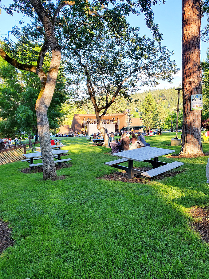 The Britt Festival grounds – where picnic tables wait patiently for music lovers to arrive with their wine, cheese, and summer evening dreams.