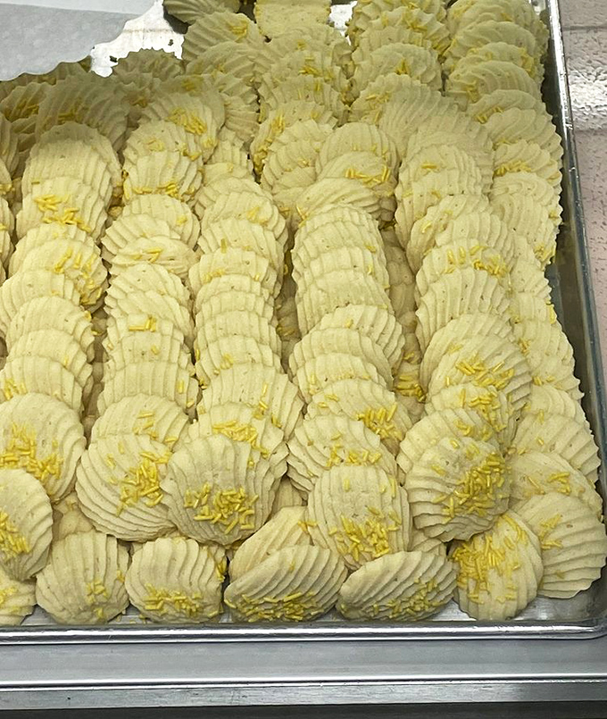 Butter cookies lined up like edible soldiers, each one standing at attention with their sprinkle decorations proudly displayed.