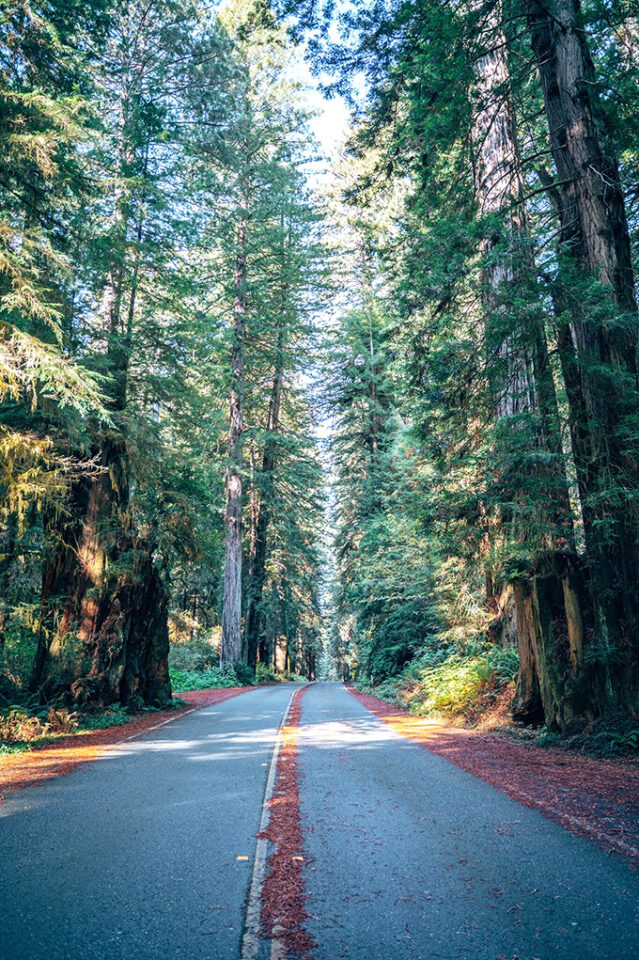 The Scenic 10-Mile Drive In California You’ve Probably Never Heard Of