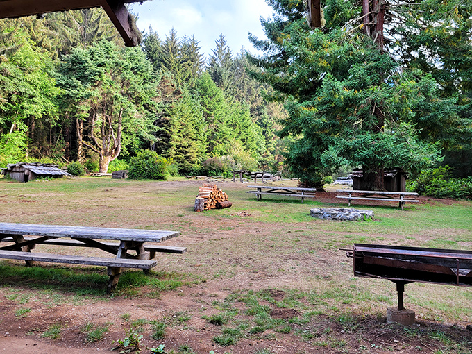 Forest camping where your alarm clock has feathers and your neighbors have four legs and bushy tails.