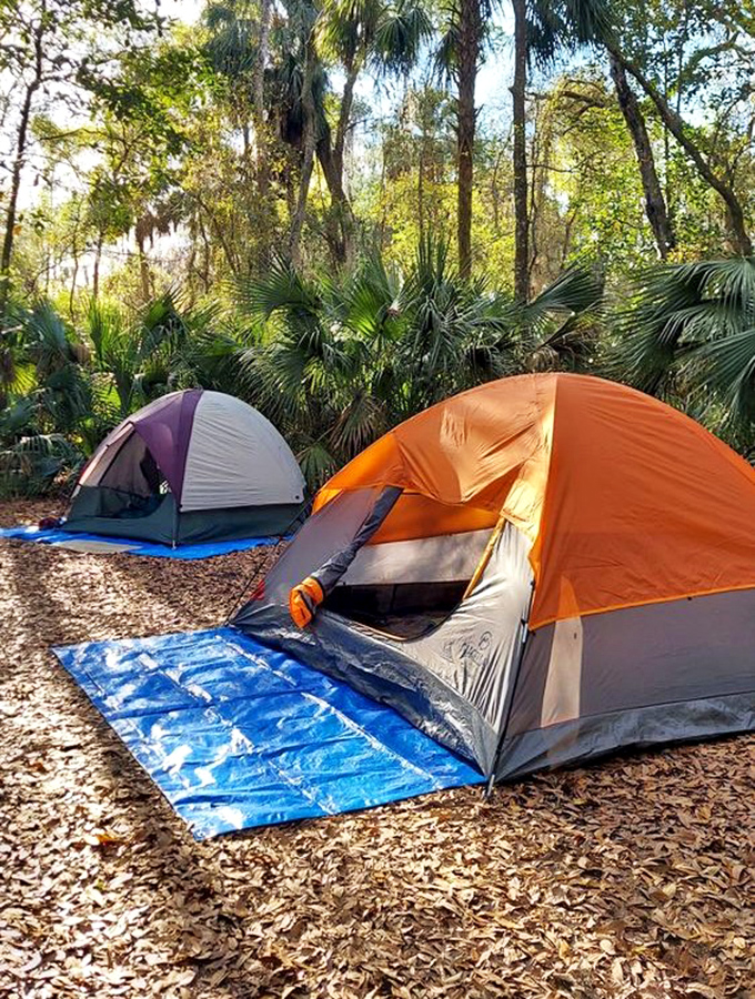 Camping here means falling asleep to nature's symphony and waking to birdsong better than any alarm clock.