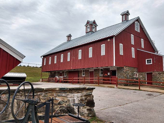 The Carroll County Farm Museum's magnificent red barn stands as a testament to agricultural heritage that shaped this region's character.